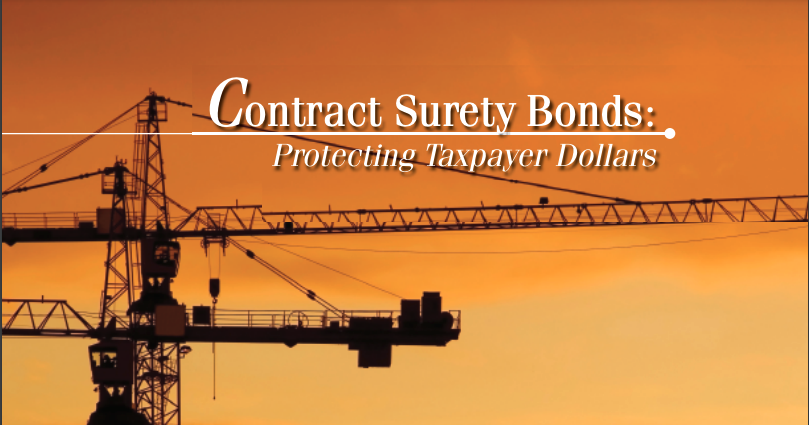 The Surety Agent